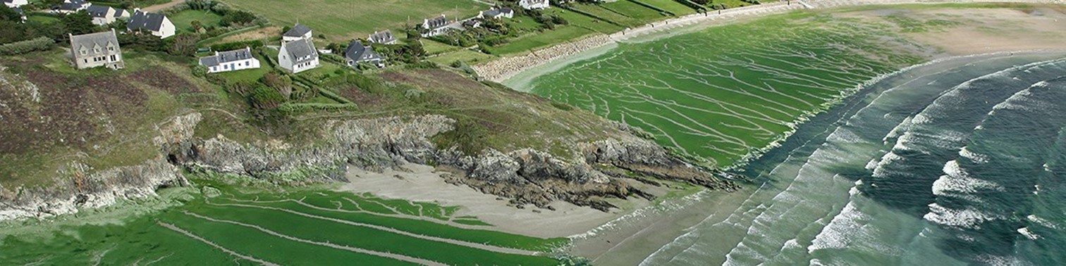 Seminar of Dr. Wafa Malik on Nitrogen modelling to reduce coastal ...